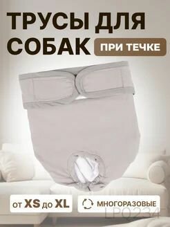 Трусы для собак при течке многоразовые