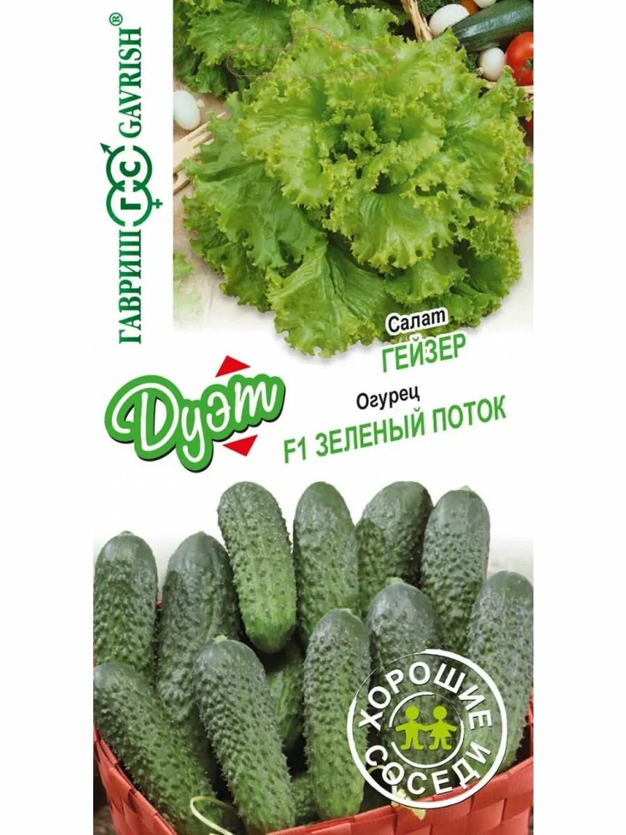 Семена "Салат Гейзер 0,5 г+Огурец Зеленый поток F1 0,3 г"