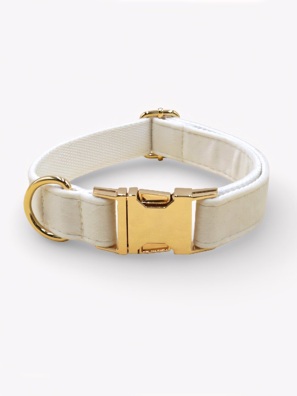 Текстильный регулируемый ошейник для собак с застежкой фастекс, размер M, цвет белый