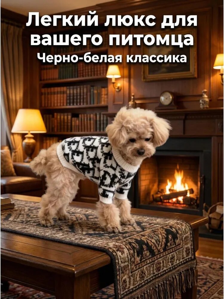 Модный свитер для домашних животных, теплый свитер с круглым вырезом, черно-белые буквы в британском стиле в стиле ретро, универсальный для кошек и собак