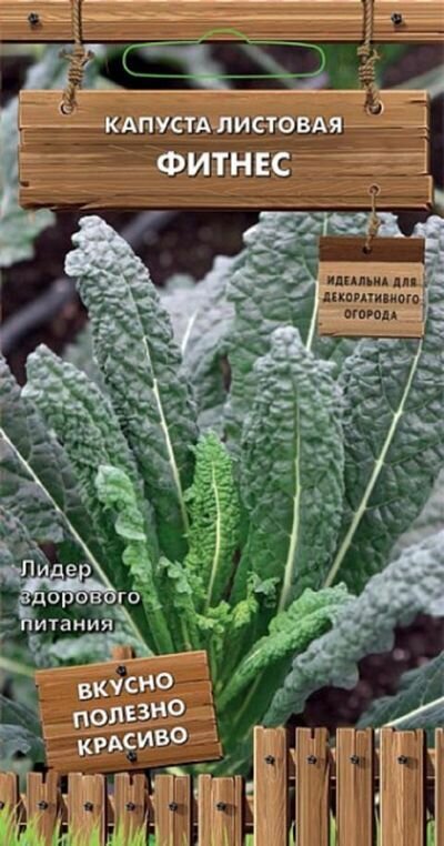 Семена Капуста листовая Фитнес