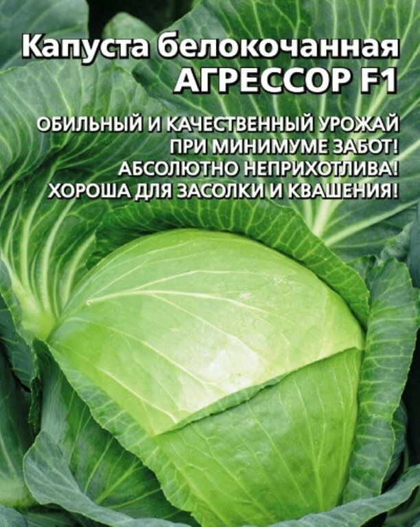 Семена Капуста б/к Агрессор F1 10 шт.