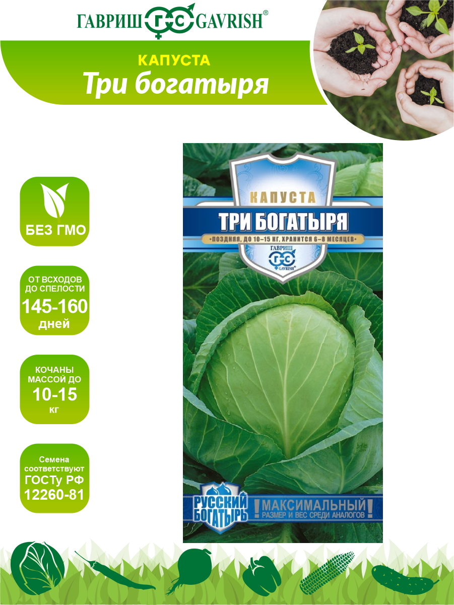 Семена Капуста белокочанная Три богатыря для квашения серия Русский богатырь 0,5 гр.