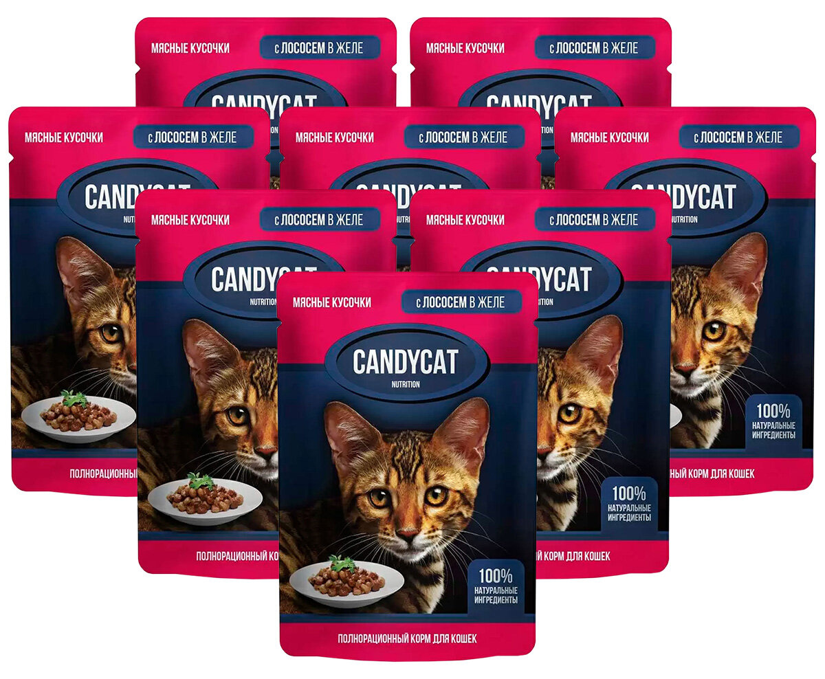 CANDYCAT для взрослых кошек с лососем в желе 85 гр пауч 85 гр х 8 шт