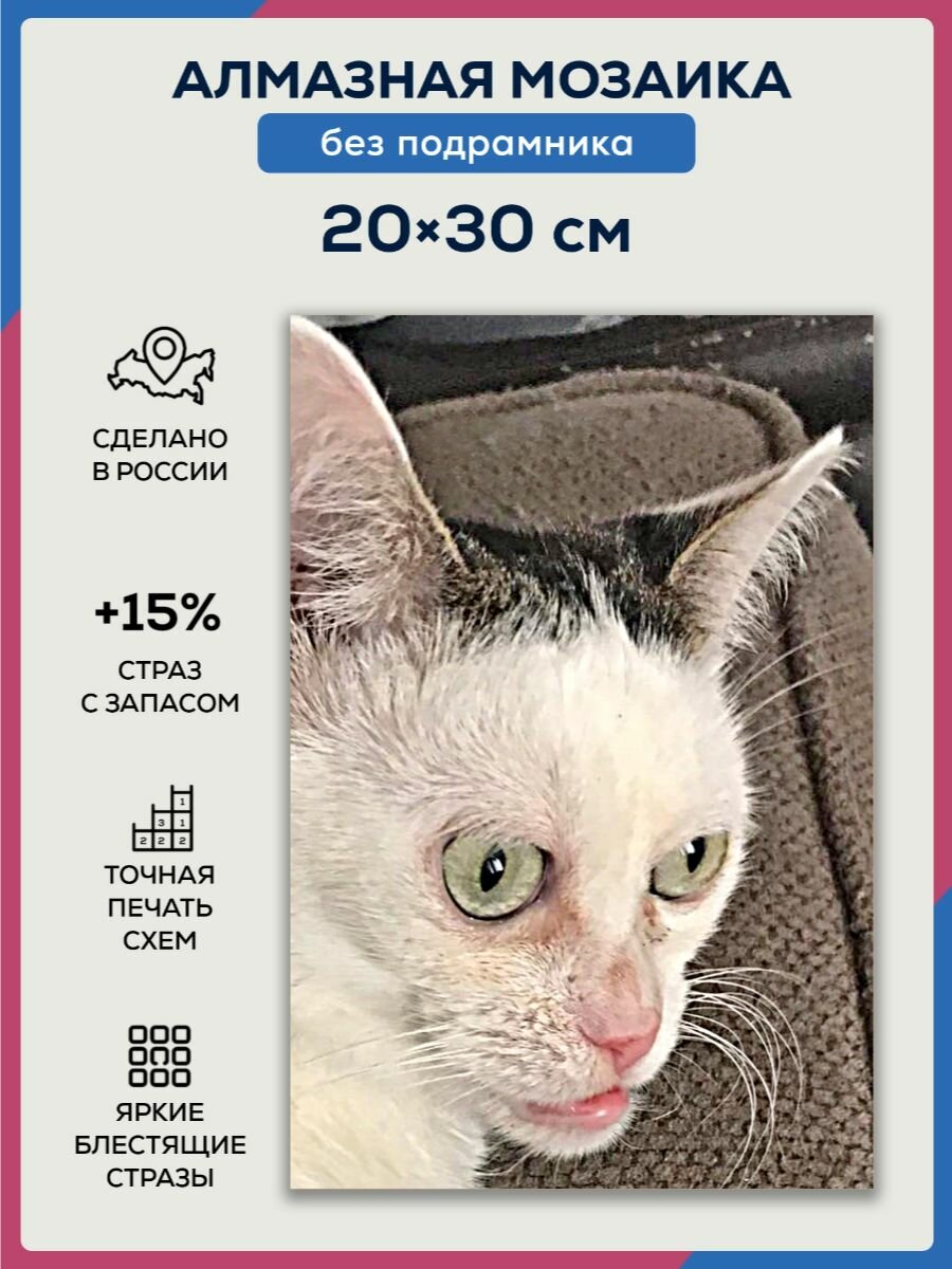 Алмазная мозаика 20x30 Мемный кот без подрамника