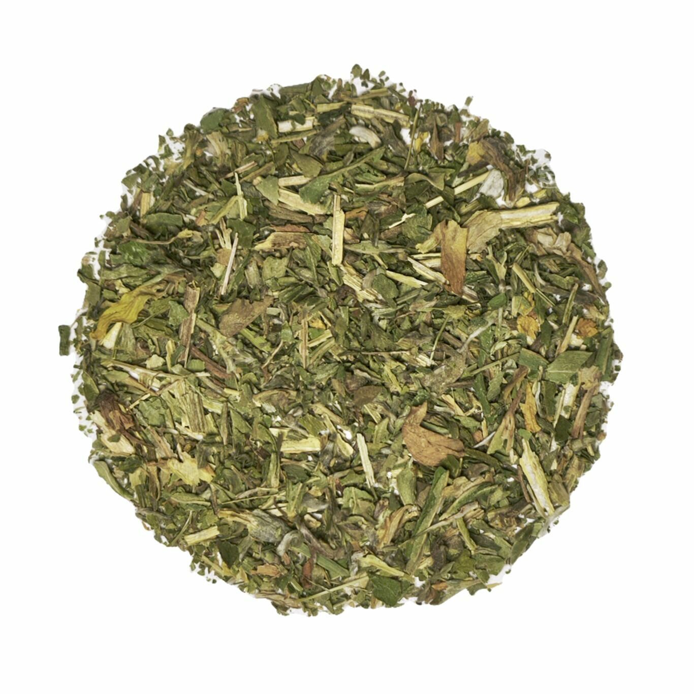 Заостренный ложный люпин ланцетный трава, травяной чай