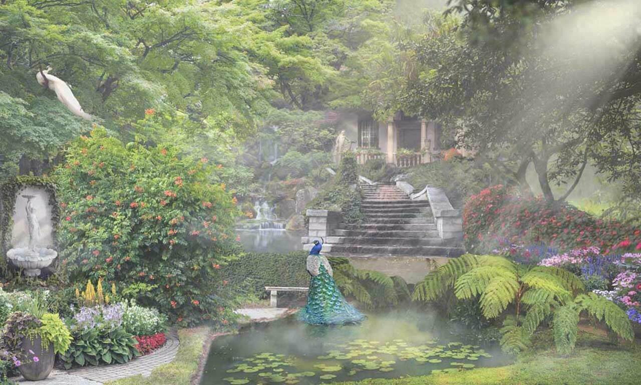 Фотообои Парки и сады с павлином 7-165-S-Флок 270 x 200 см (ВхШ) Бесшовные, флизелиновые, влагостойкие обои MasterFresok