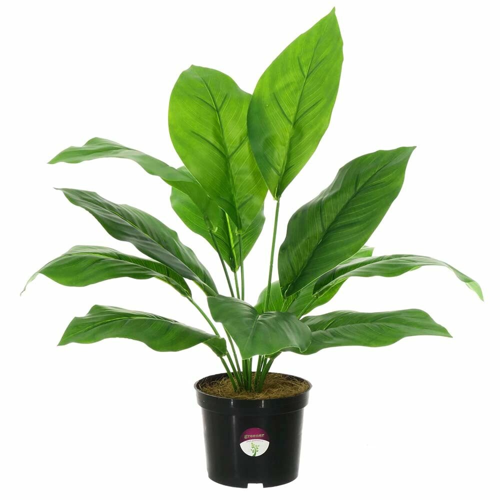 Растение искусственное Хоста Талья в кашпо высота 45 см