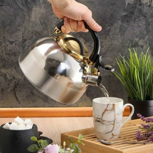 Чайник нержавеющая сталь, 2.7 л, со свистком, матовый, ручка бакелитовая, с силиконовым покрытием, Daniks, индукция, стальной, M-085