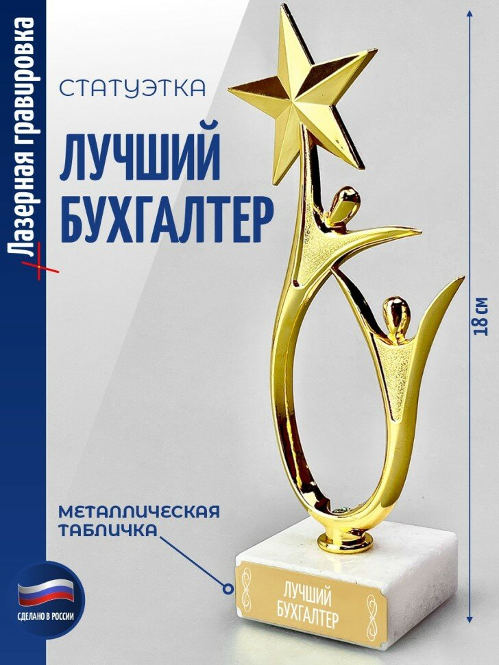 Статуэтка "Лучший бухгалтер" со звездой (18 см)