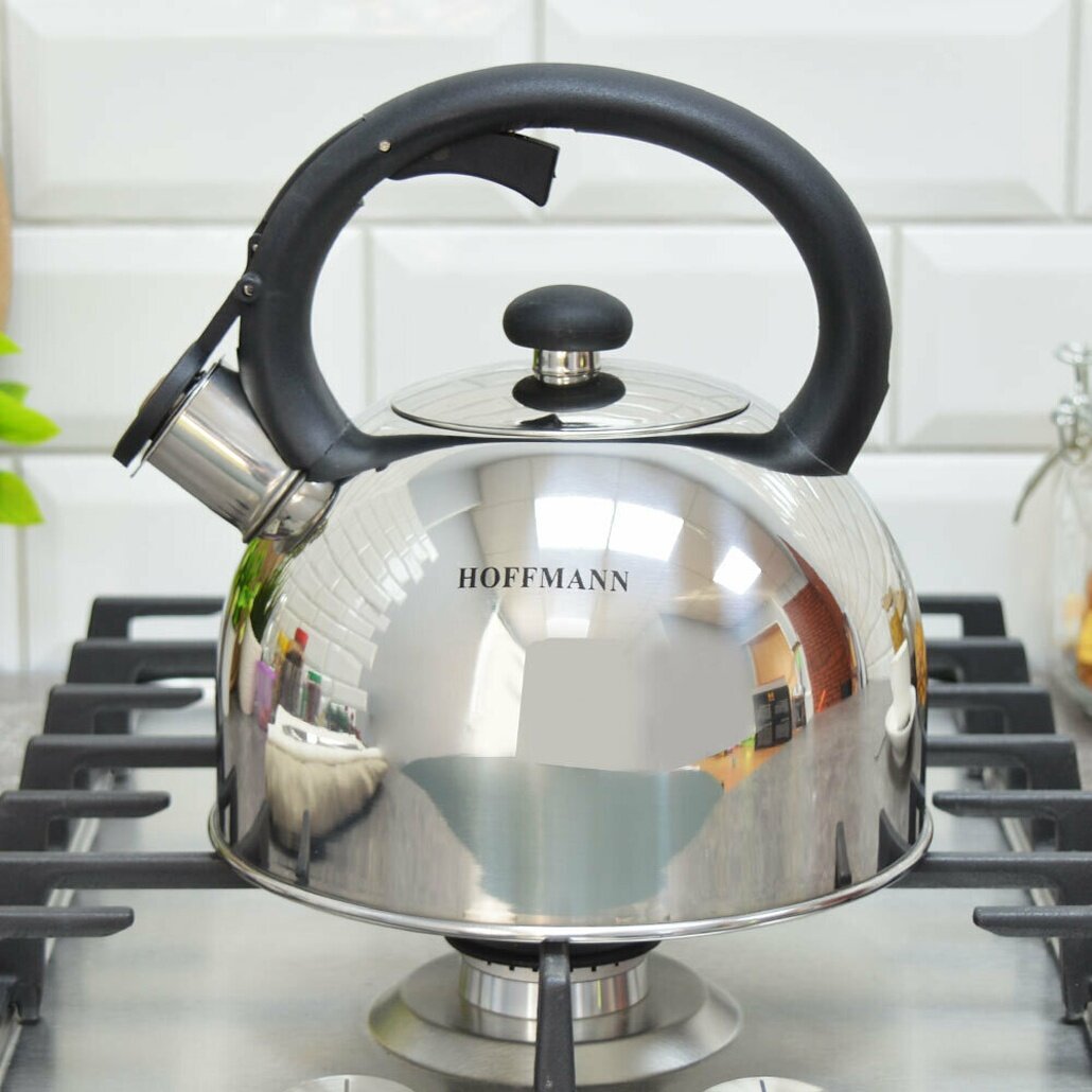 Чайник со свистком 2л, нержавеющая сталь, для всех плит, надежный