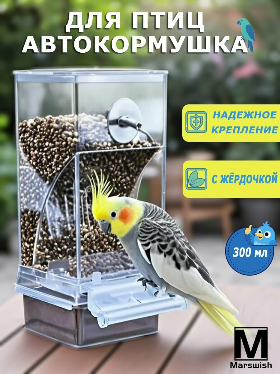Кормушка для птиц, автоматическая, кормушка для попугаев