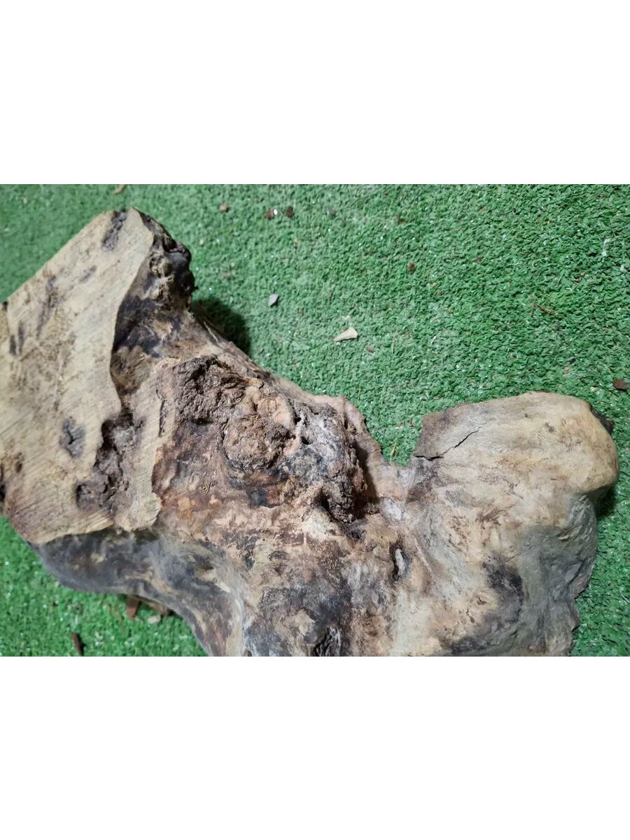 Слэб массив каповый тополь (420-250-80мм)