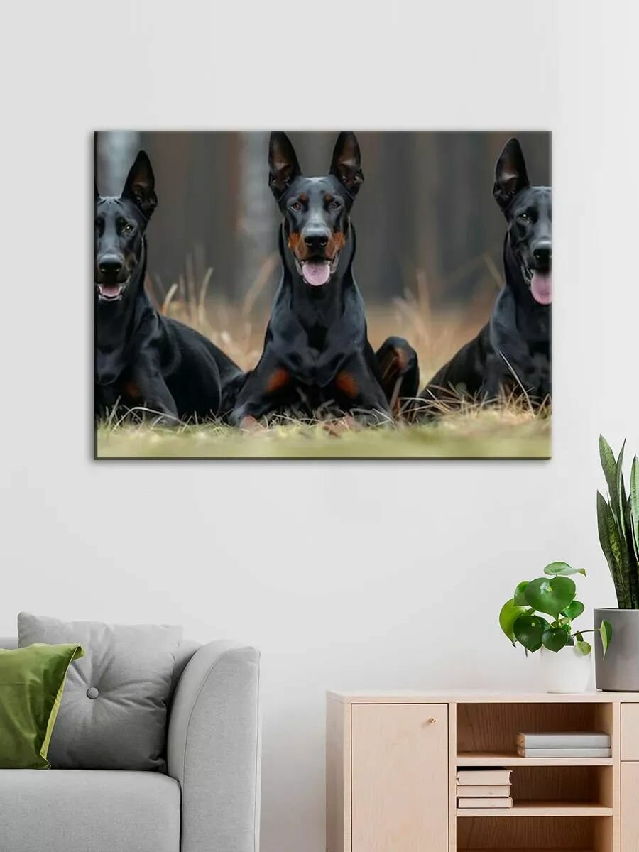 Картина на стену "Доберманы", 40х30 см