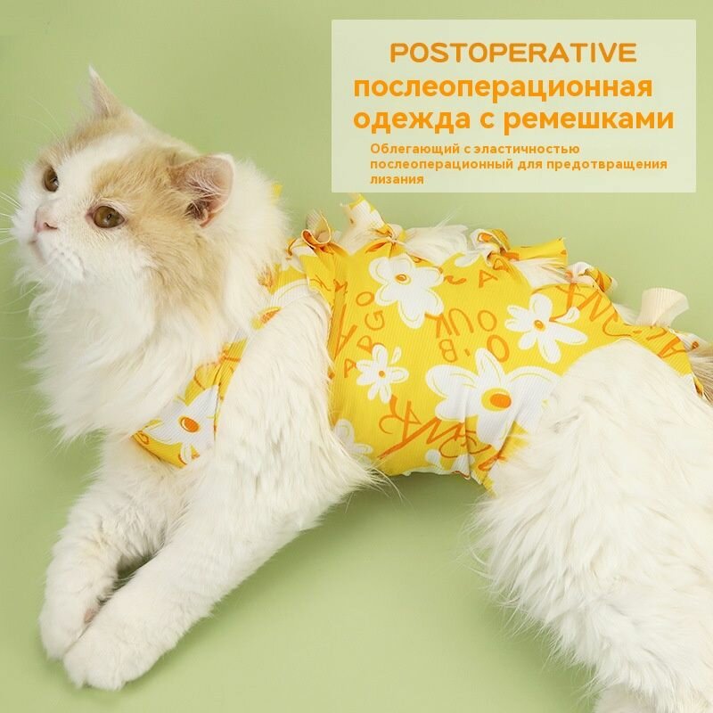 Одежда для стерилизации кошекОдежда для стерилизации кошекОдежда для стерилизации кошек