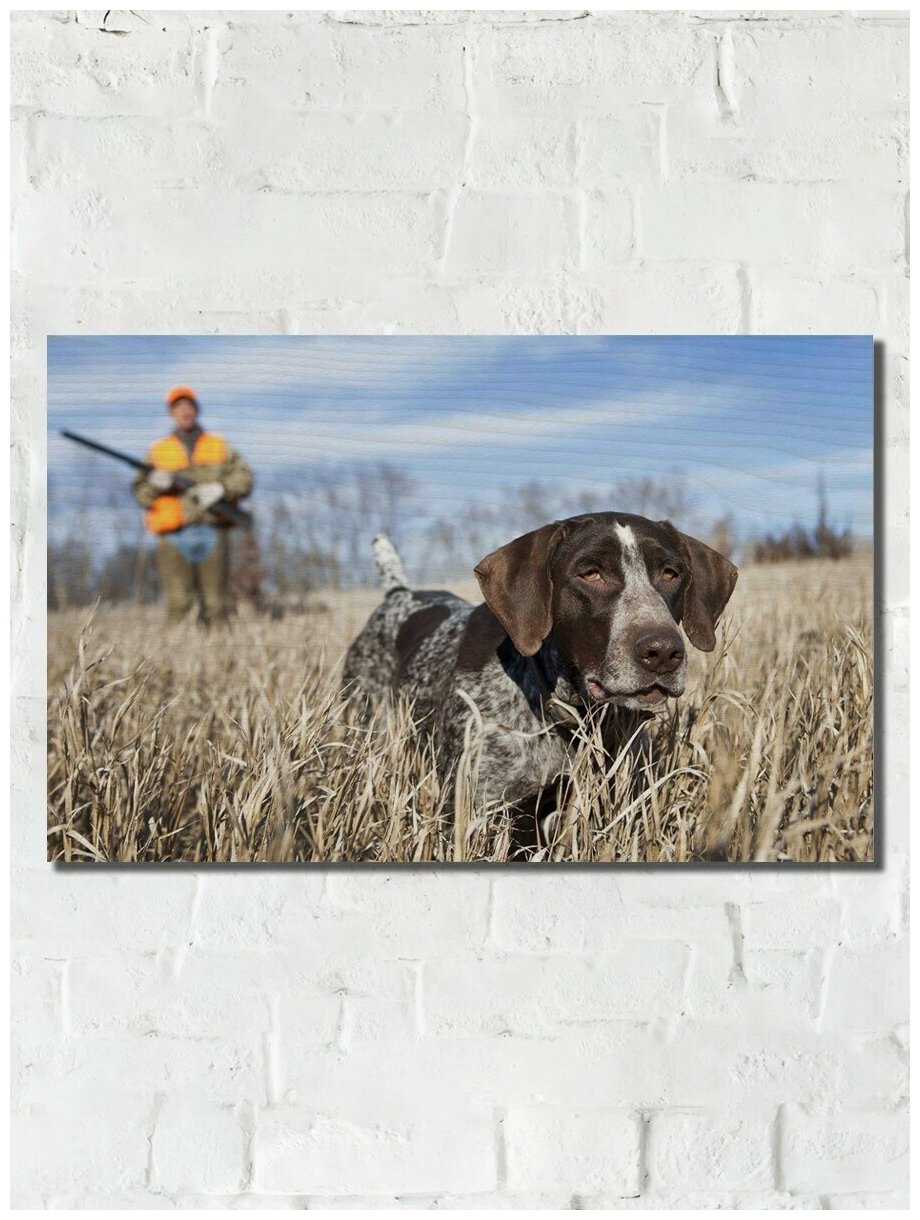 Картина интерьерная на дереве Животные (охотничей пёс, собака) - 631