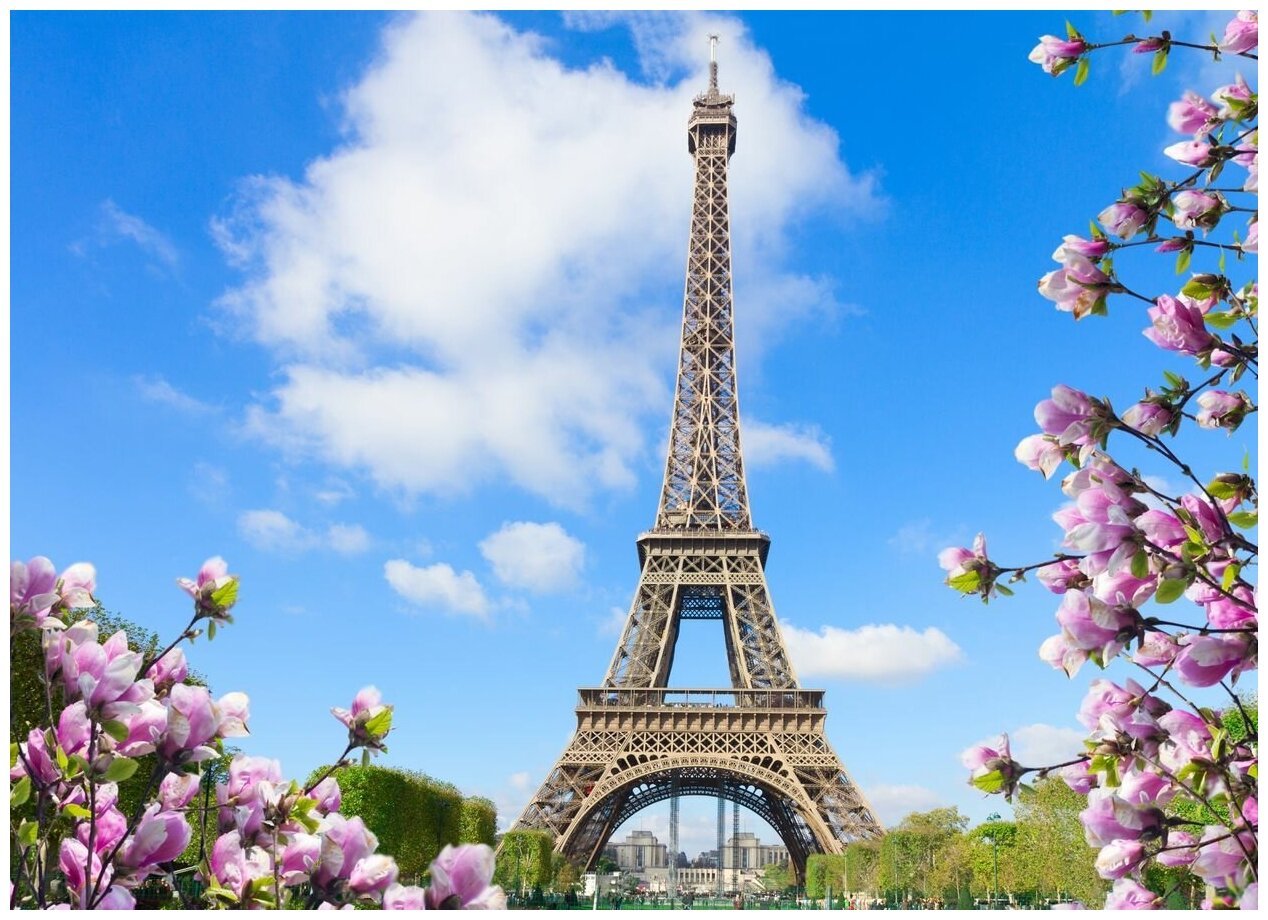 Фотообои Уютная стена "Эйфелева башня и цветущие магнолии" 370х270 см Виниловые Бесшовные (единым полотном)