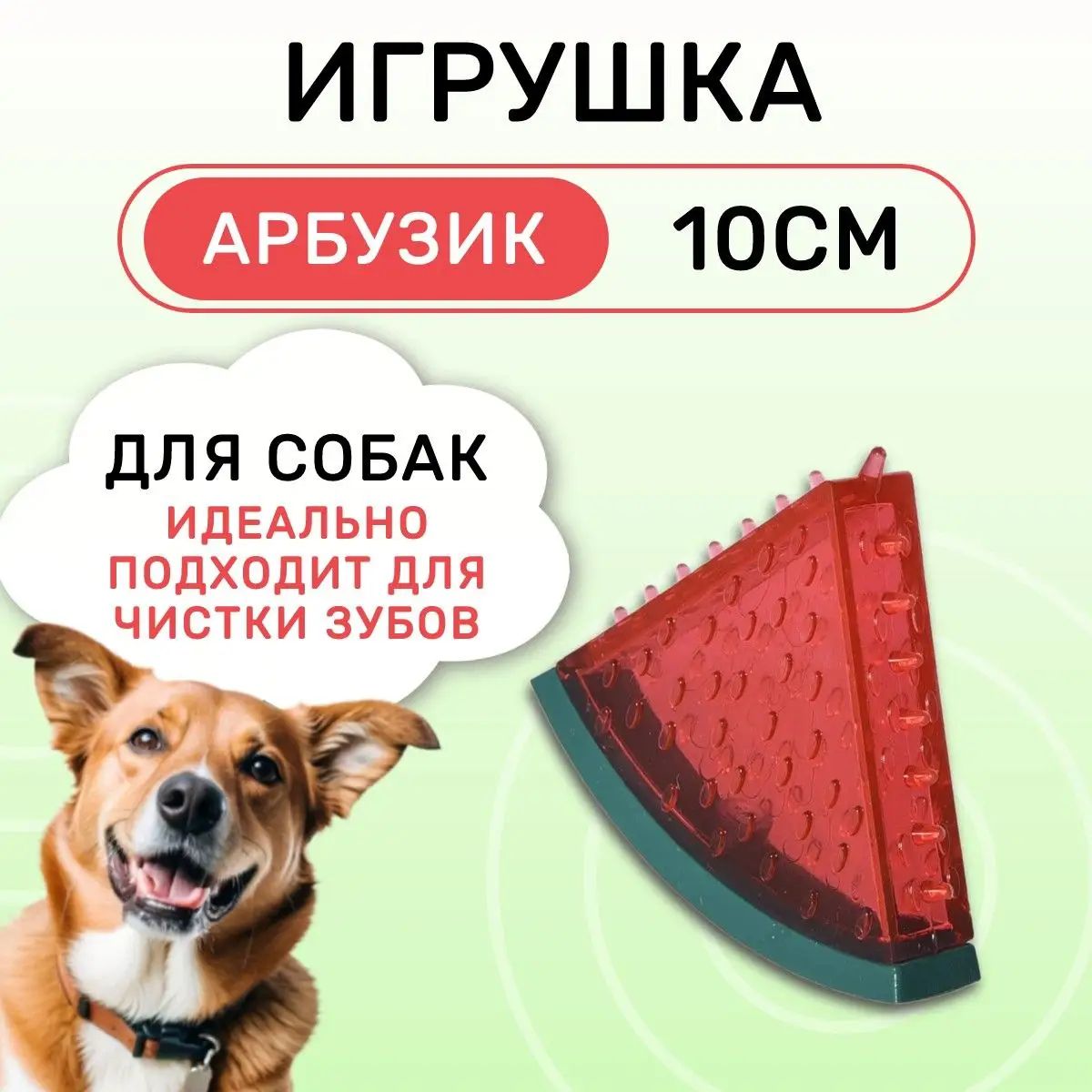 Игрушка для собак FOXIE Watermelon для чистки зубов 9x10см