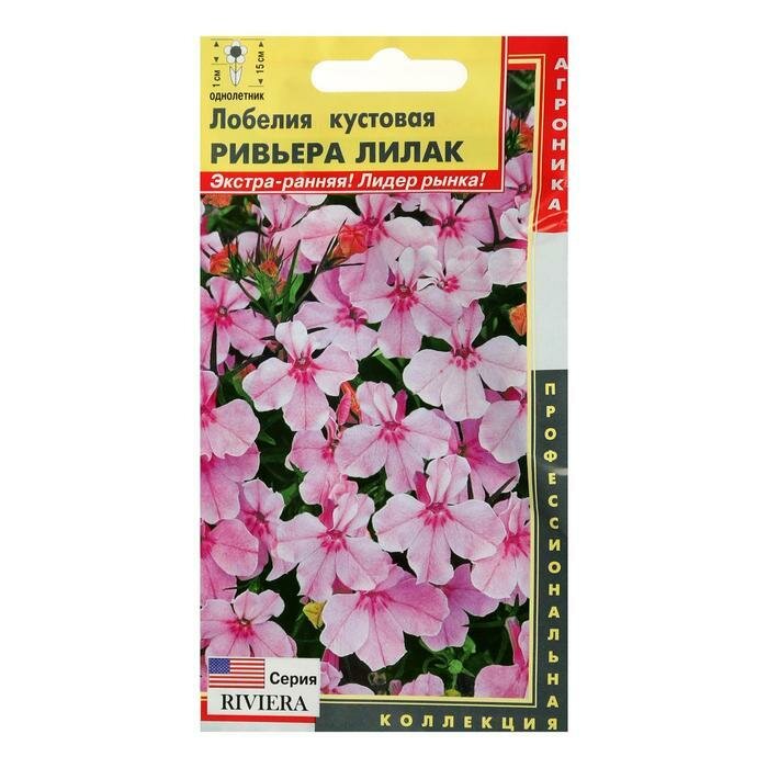 Семена цветов Лобелия кустовая 'Ривьера Лилак', О, драже 8 шт
