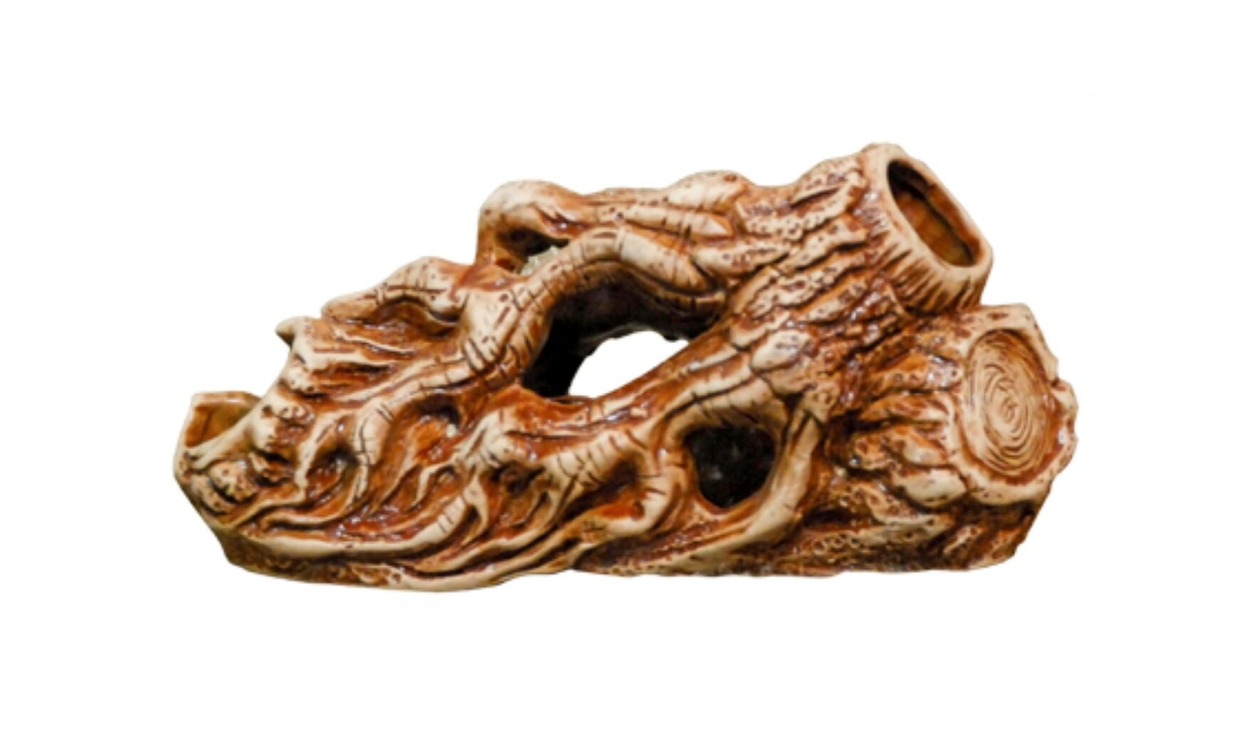 Коряга большая 23x10x11см