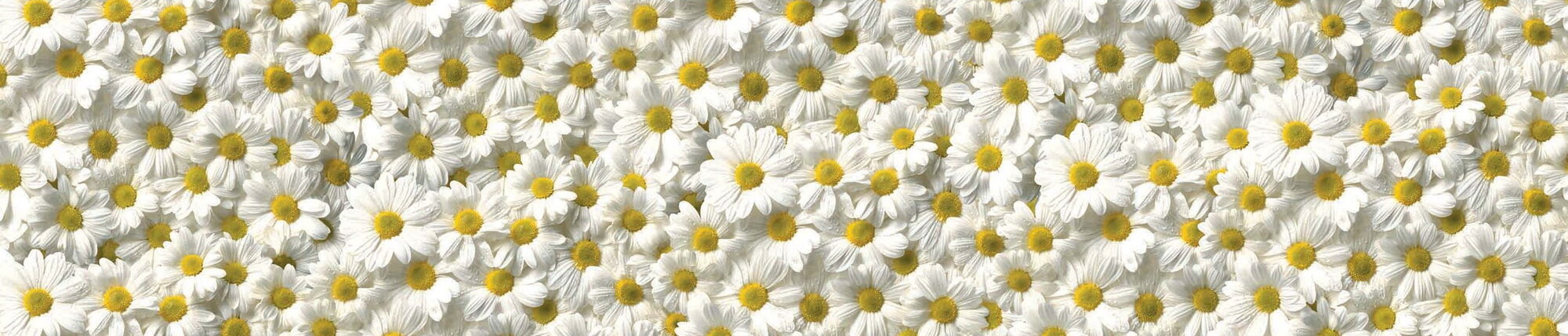 Кухонный фартук/стеновая панель МДФ для кухни 2800*600*6мм "SP-019"