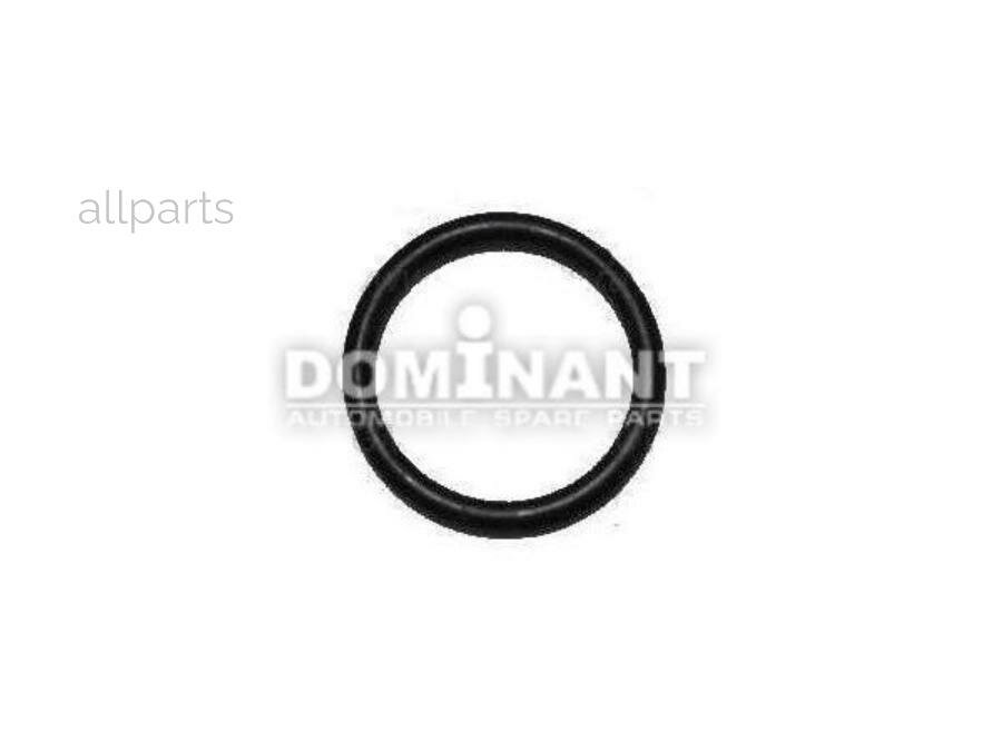 DOMINANT OP63380472 Кольцо уплотнительное (двигатель)