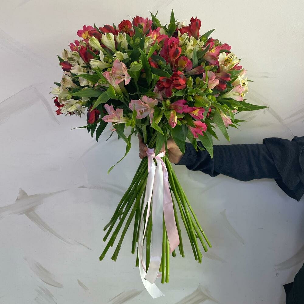 Букет из 41 Российских альстромерий разных цветов микс, от КупиБукет