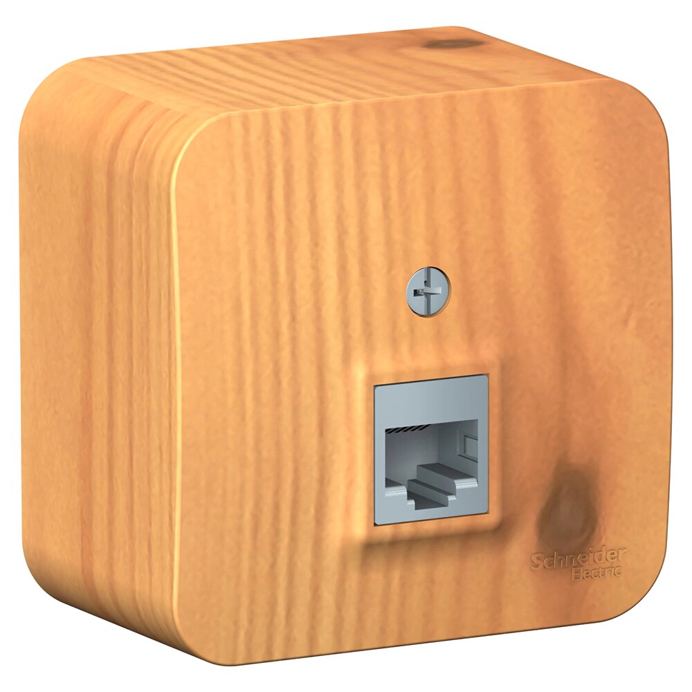 Розетка компьютерная Schneider Electric Бланка ясень