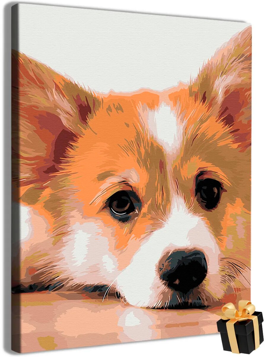 Картины по номерам Корги