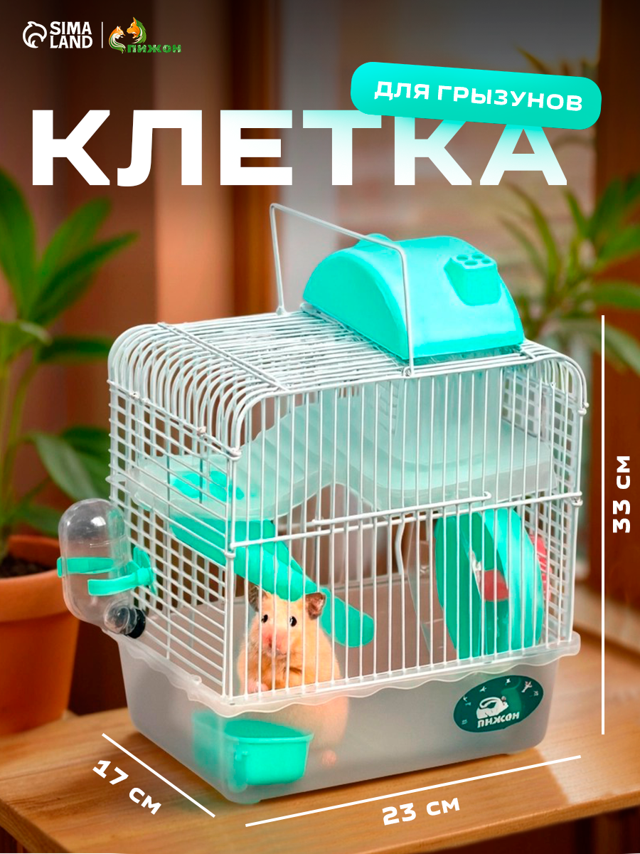 Клетка для грызунов "Пижон", 23 х 17 х 33 см, прозрачная, зелёное наполнение