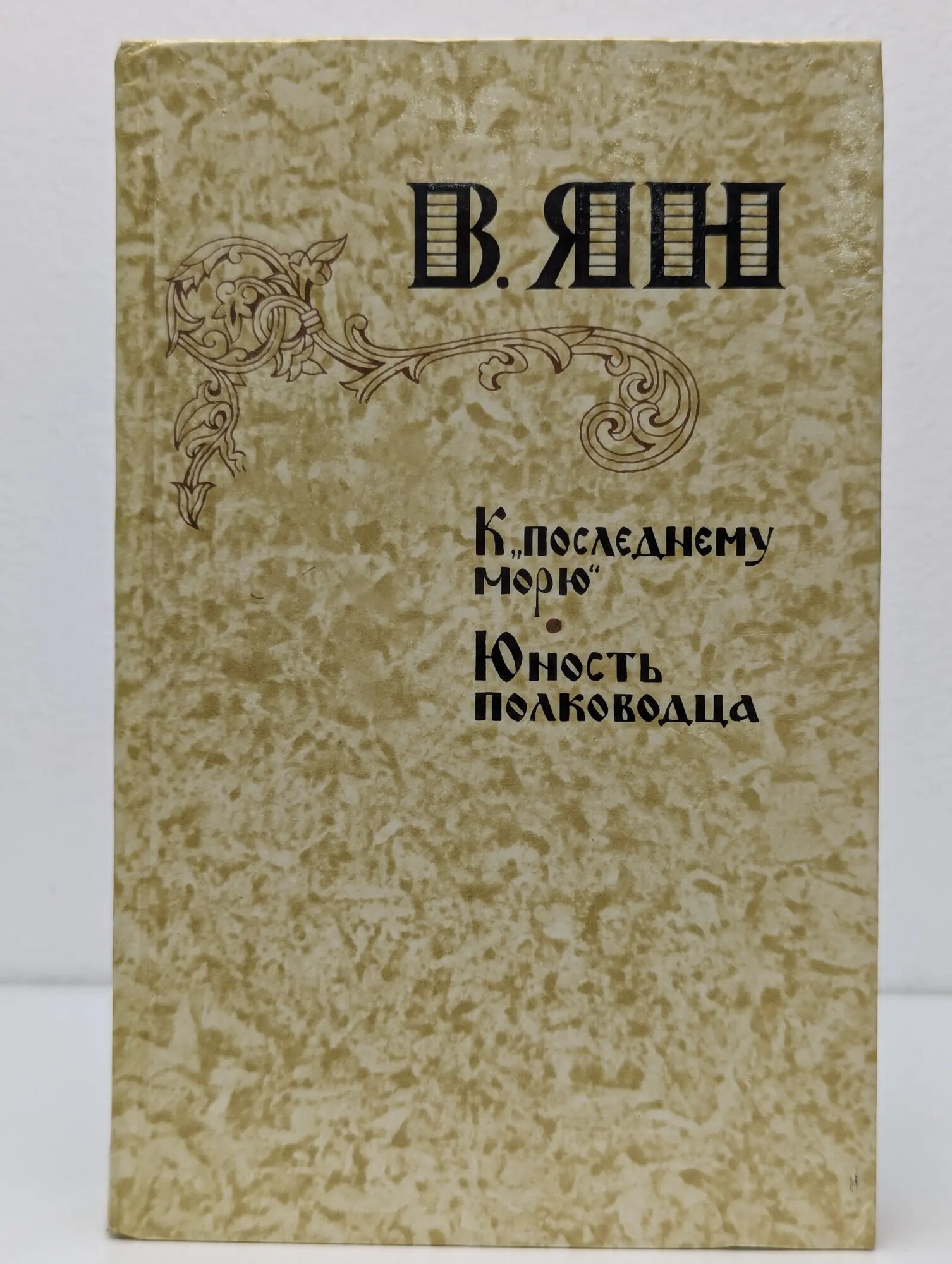 К последнему морю. Юность полководца Ян Василий Григорьевич 1981