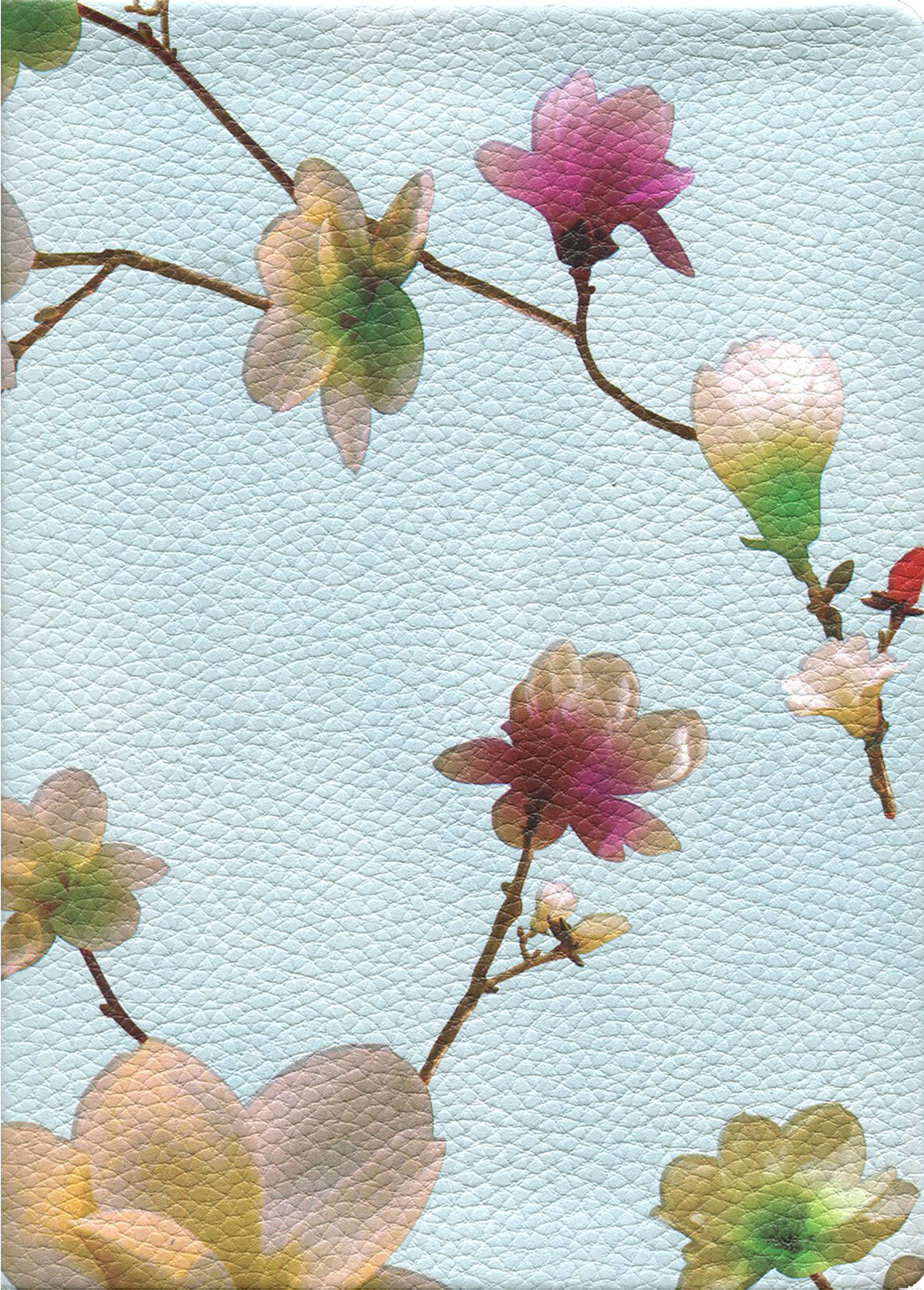 Ежедневник "Florian" (недатированный, 160 листов) (AZ521/blue)