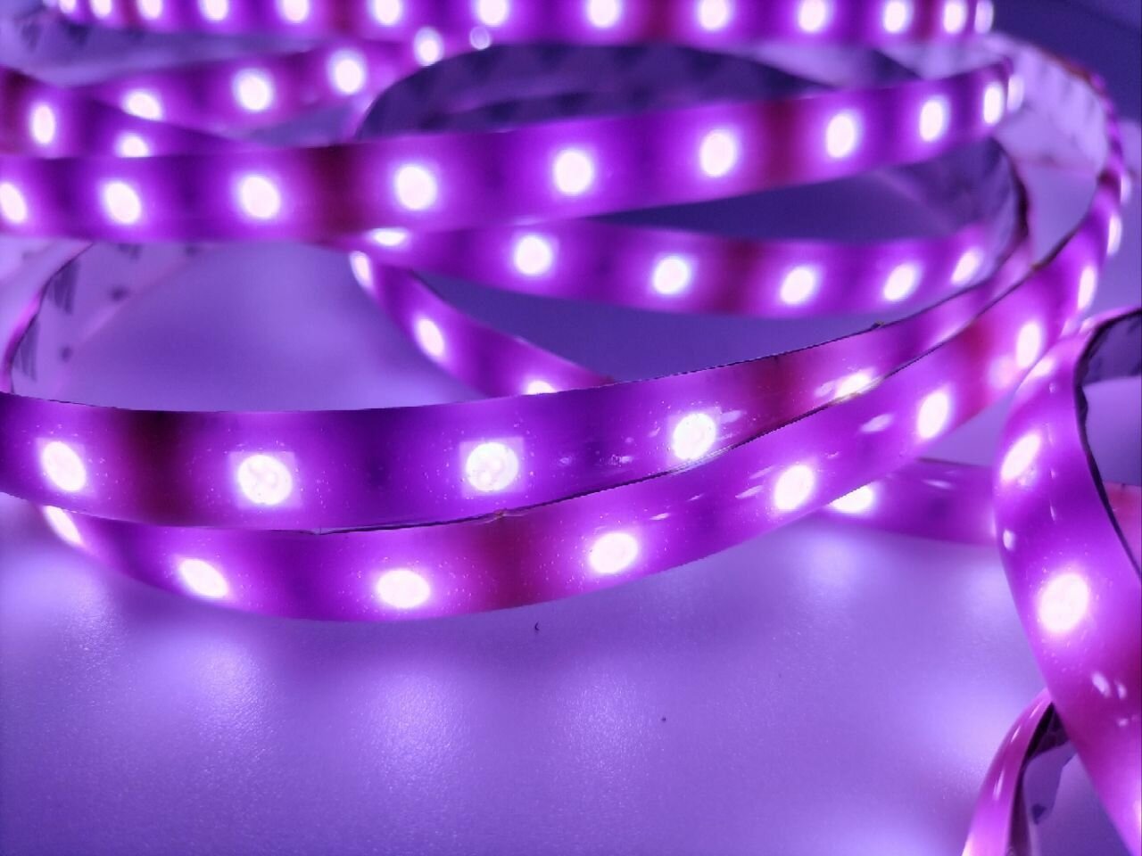 Светодиодная лента 5050 60 12В фиолетовая влагозащищенная