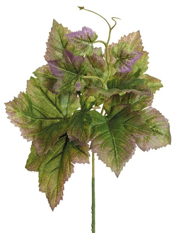 Fiebiger Floristik 109203-800 Ветка декоративная "Виноградный лист", 24 см