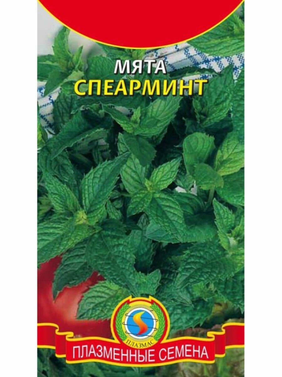 Мята Спеарминт 80 шт, Плазменные семена