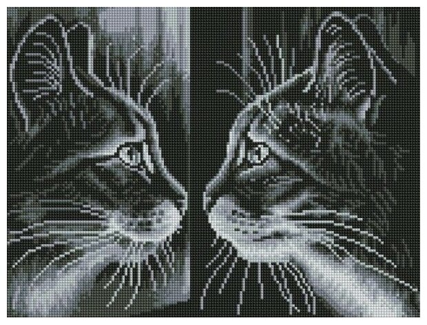 Алмазная мозаика Отражение 30x40 см.