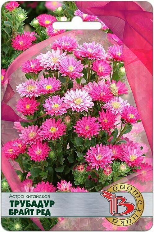 Семена Астры китайской "Трубадур Брайт Ред" (20 семян)