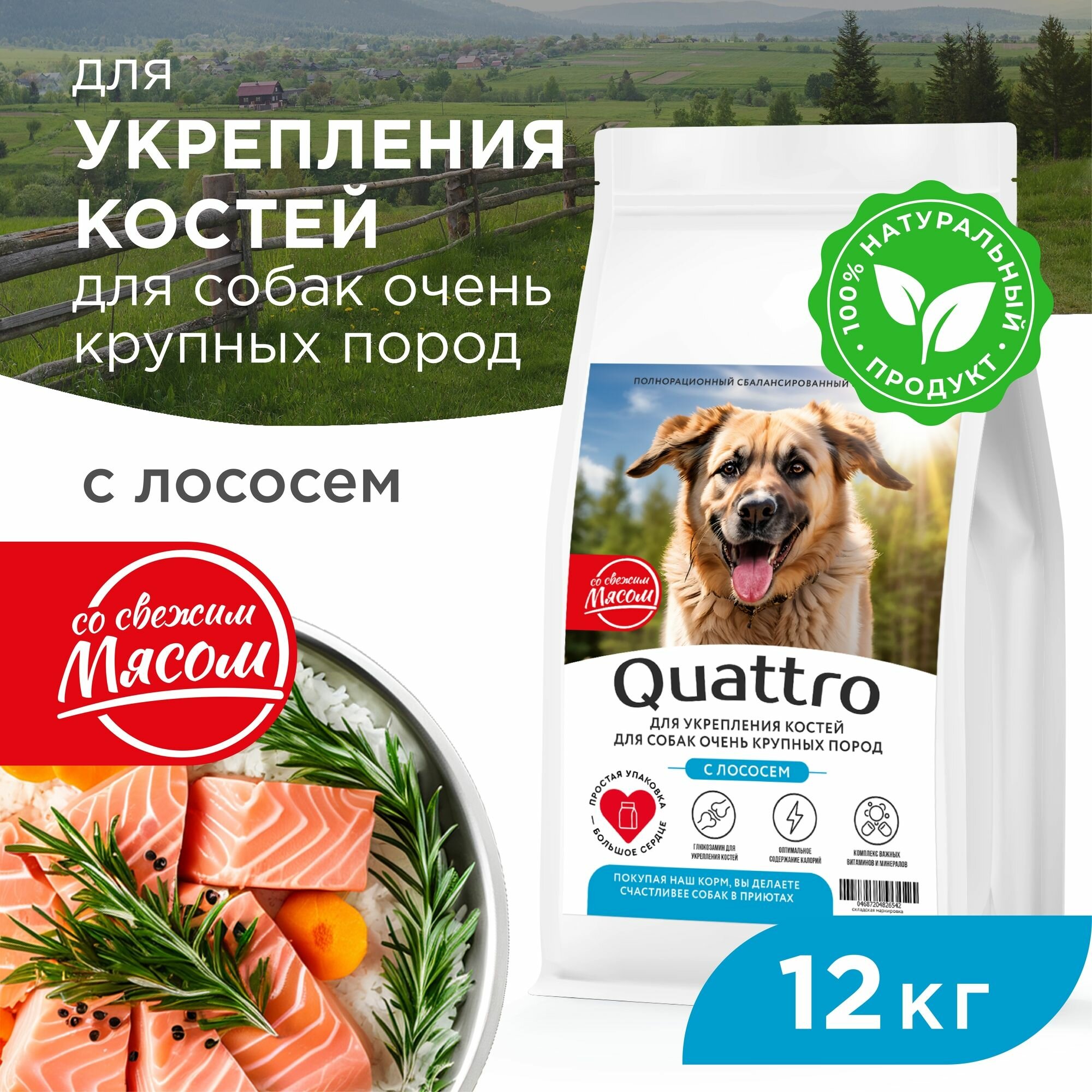 Корм сухой для взрослых собак очень крупных пород, премиум полнорационный комплекс, для укрепления костей у собак, с лососем, 12 кг, QUATTRO