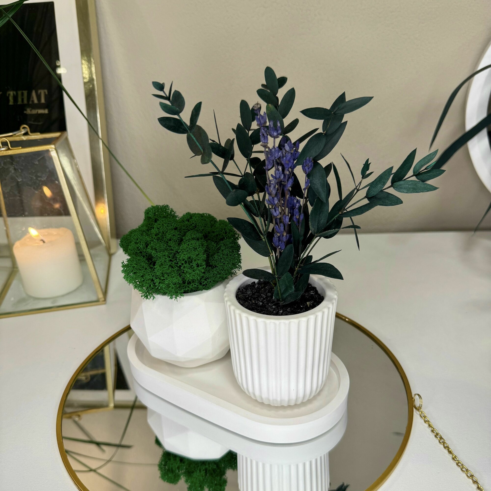 Набор кашпо из гипса с искусственными стабилизированными растениями на поддоне сухоцветы в горшках для декора на стол Molecula Decor