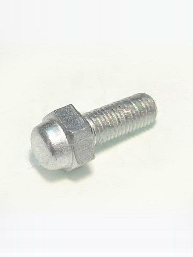 Болт М10*25*1,25 суппорта с огранич.2101 2101-350119000