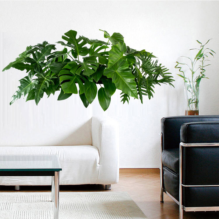 Наклейки на стену с тропическими зелеными листьями, обои с растениями монстера, настенные наклейки с природой для декора спальни, гостиной, входа, съемные самоклеящиеся фотообои из ПВХ 29x60 см