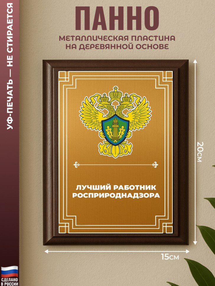 Настенный диплом "Лучший работник росприроднадзора" Росприроднадзор