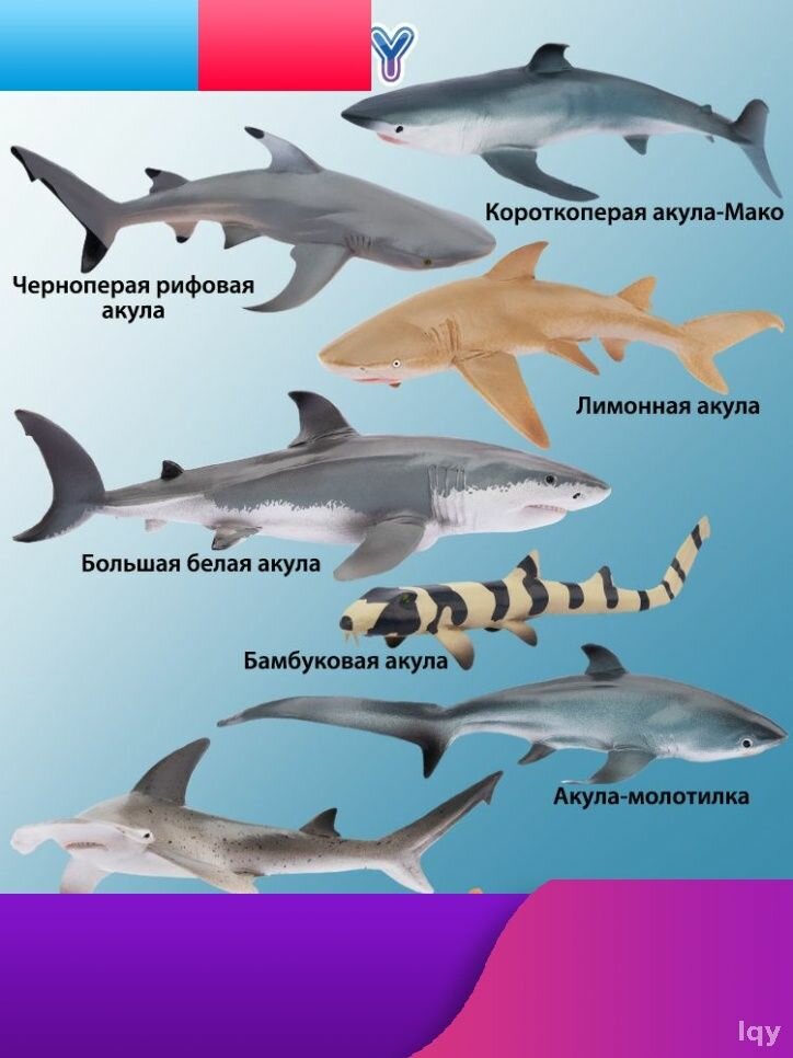 Эксклюзивный коллекционный набор Toymany, 8 морских обитателей с акулами