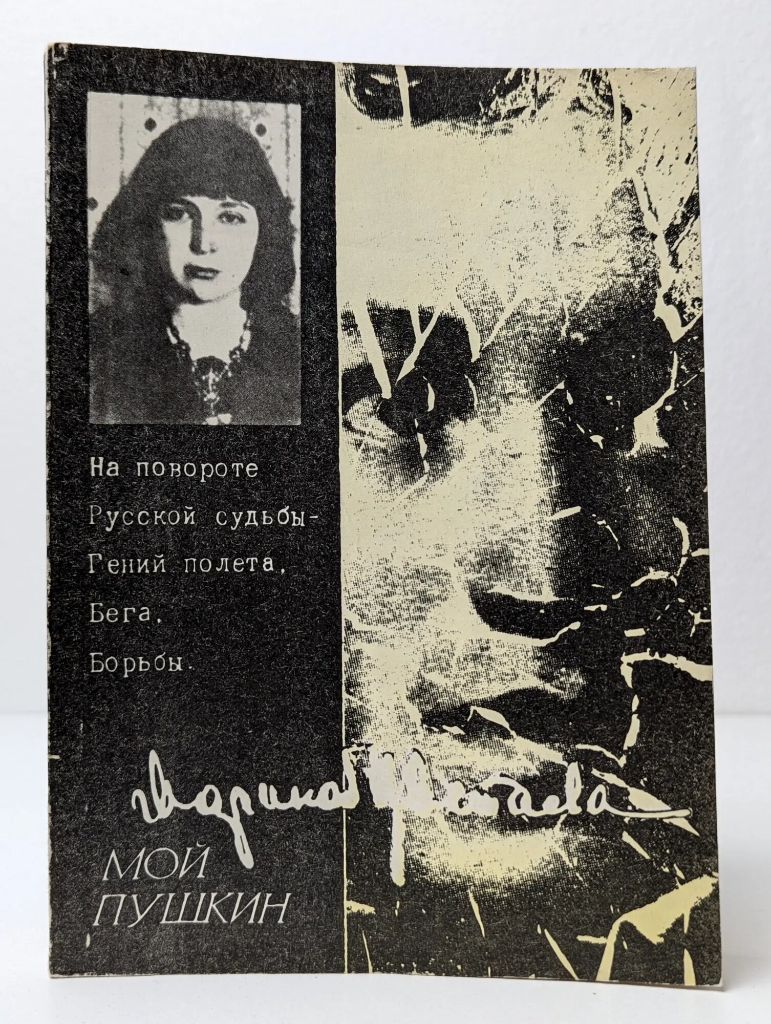 Мой Пушкин Цветаева Марина Ивановна 1988