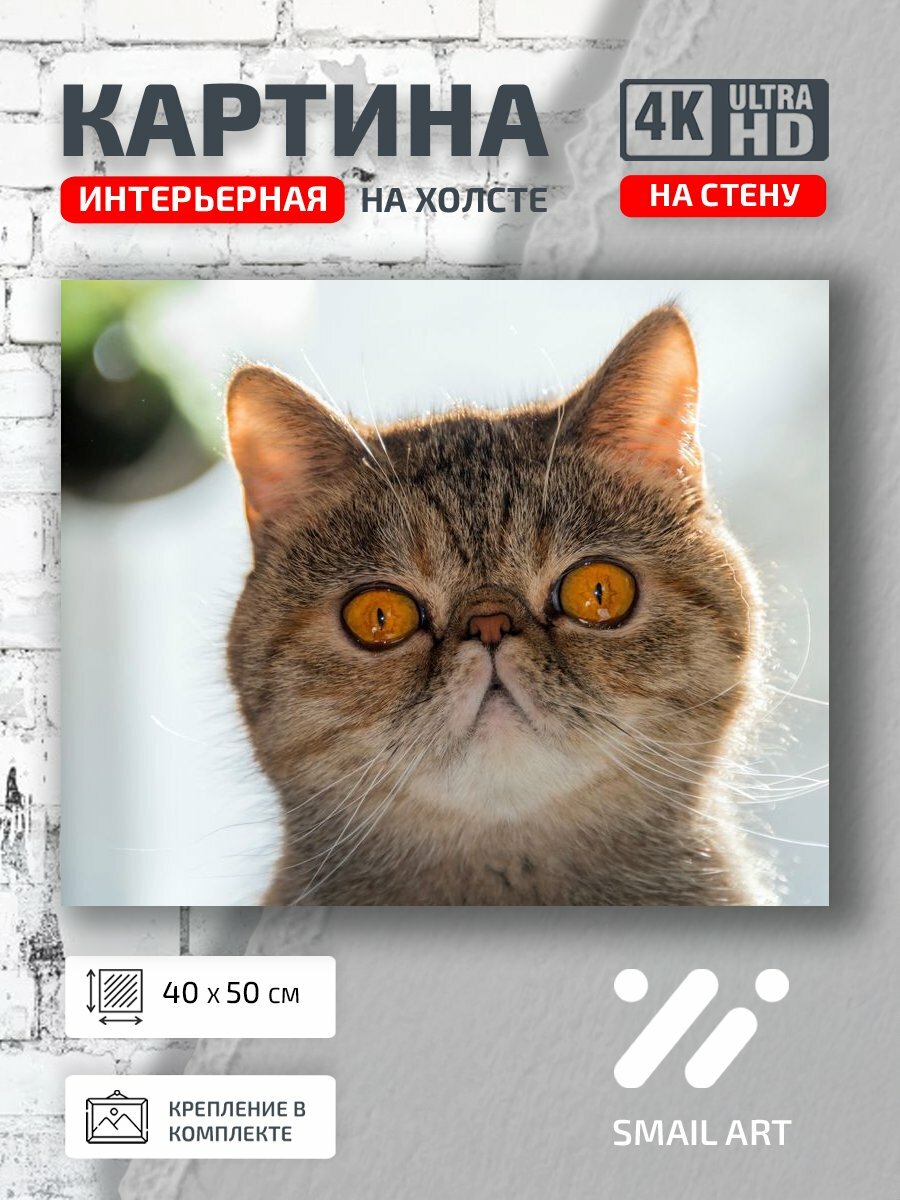 Картина на холсте интерьерная 40 на 50 на стену Глаза Animal для кафе animal style интерьер
