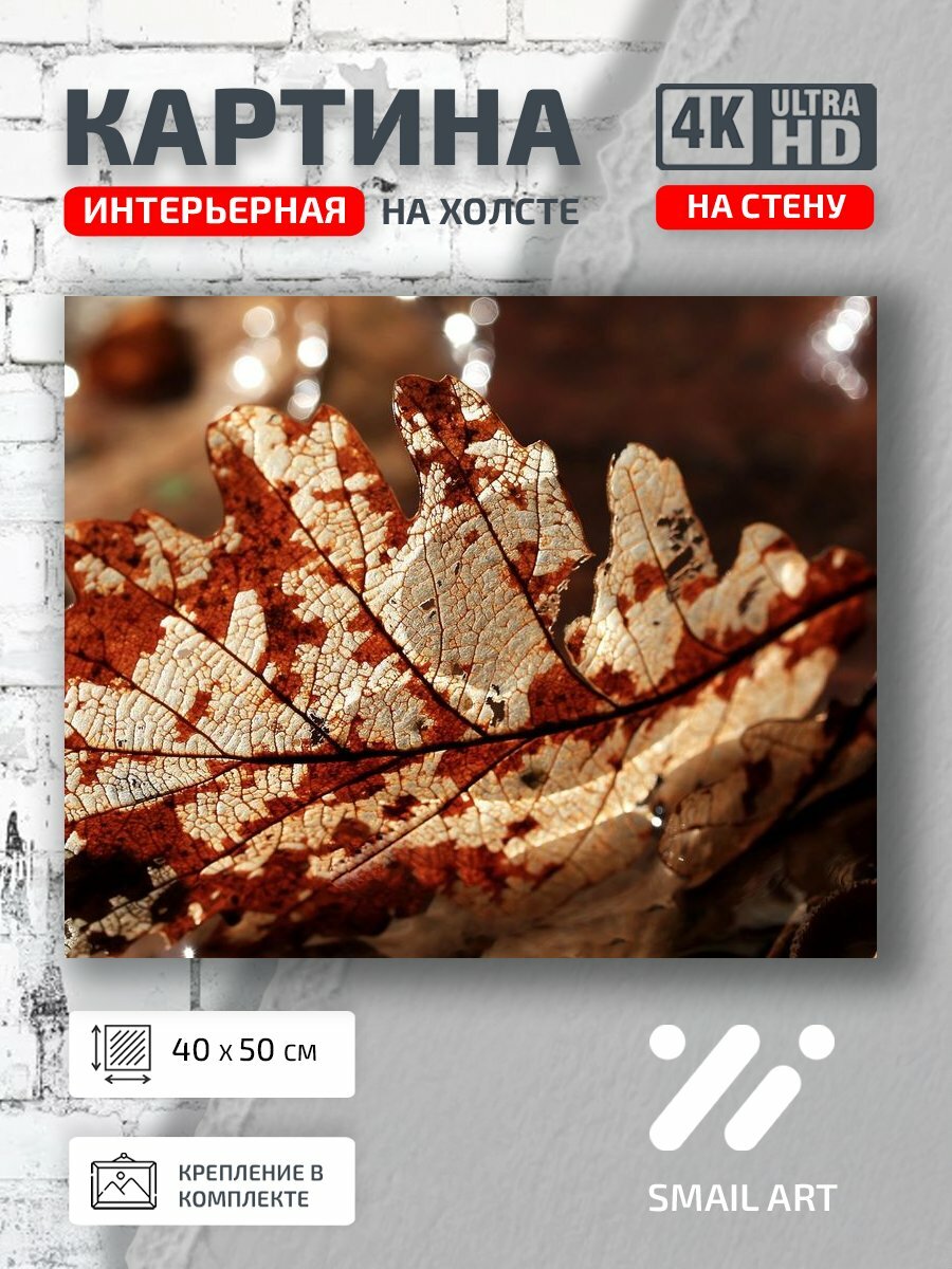 Картина на холсте интерьерная 40 на 50 на стену Бордовый Mood для студии атмосфера интерьер