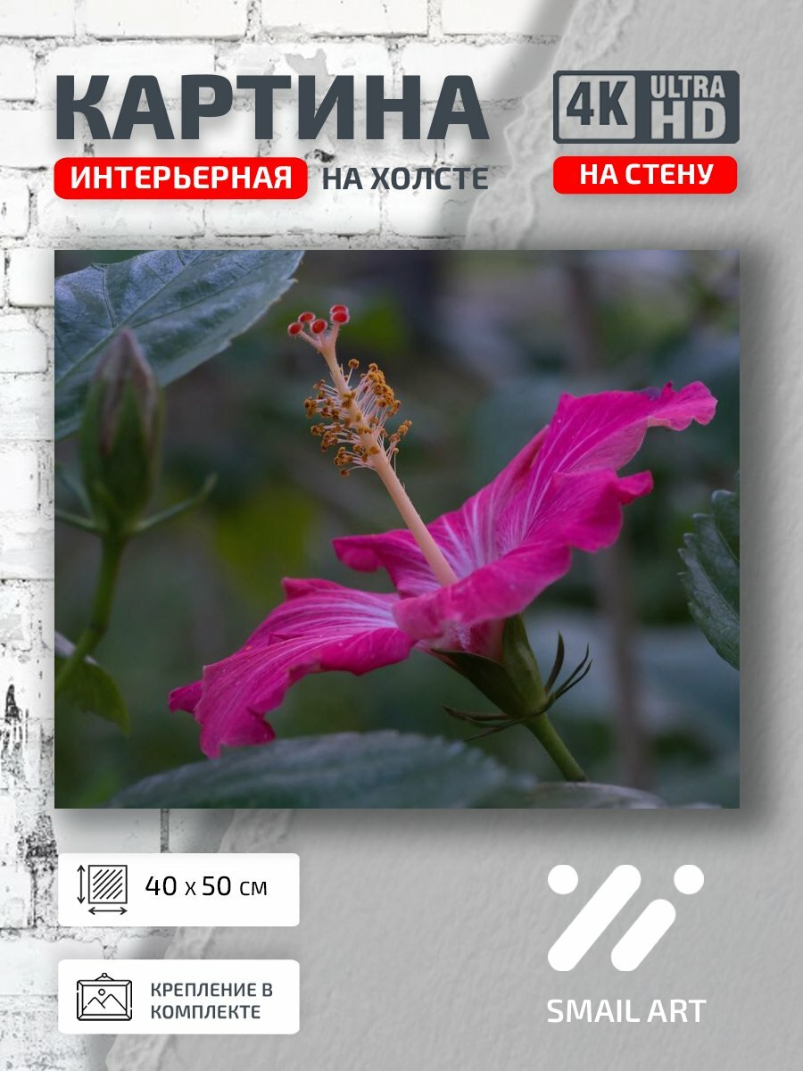 Картина на холсте интерьерная 40 на 50 на стену Розовый Mood для офиса атмосфера интерьер