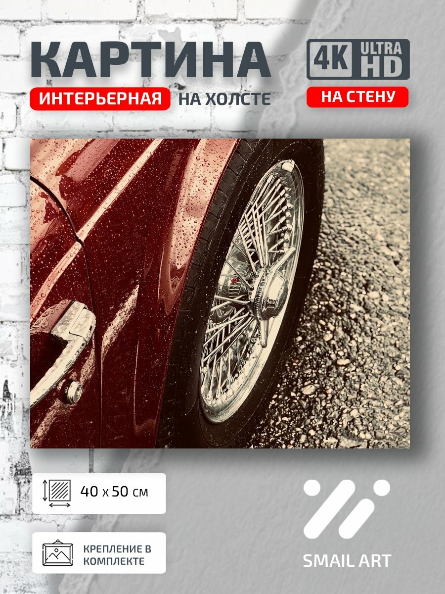 Картина на холсте интерьерная 40 на 50 на стену Крыло Landscape для кабинета пейзаж декор