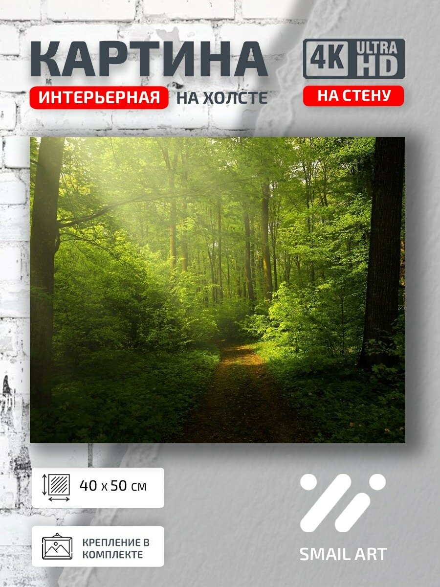 Картина на холсте интерьерная 40 на 50 на стену Зеленый лес для кабинета пейзаж