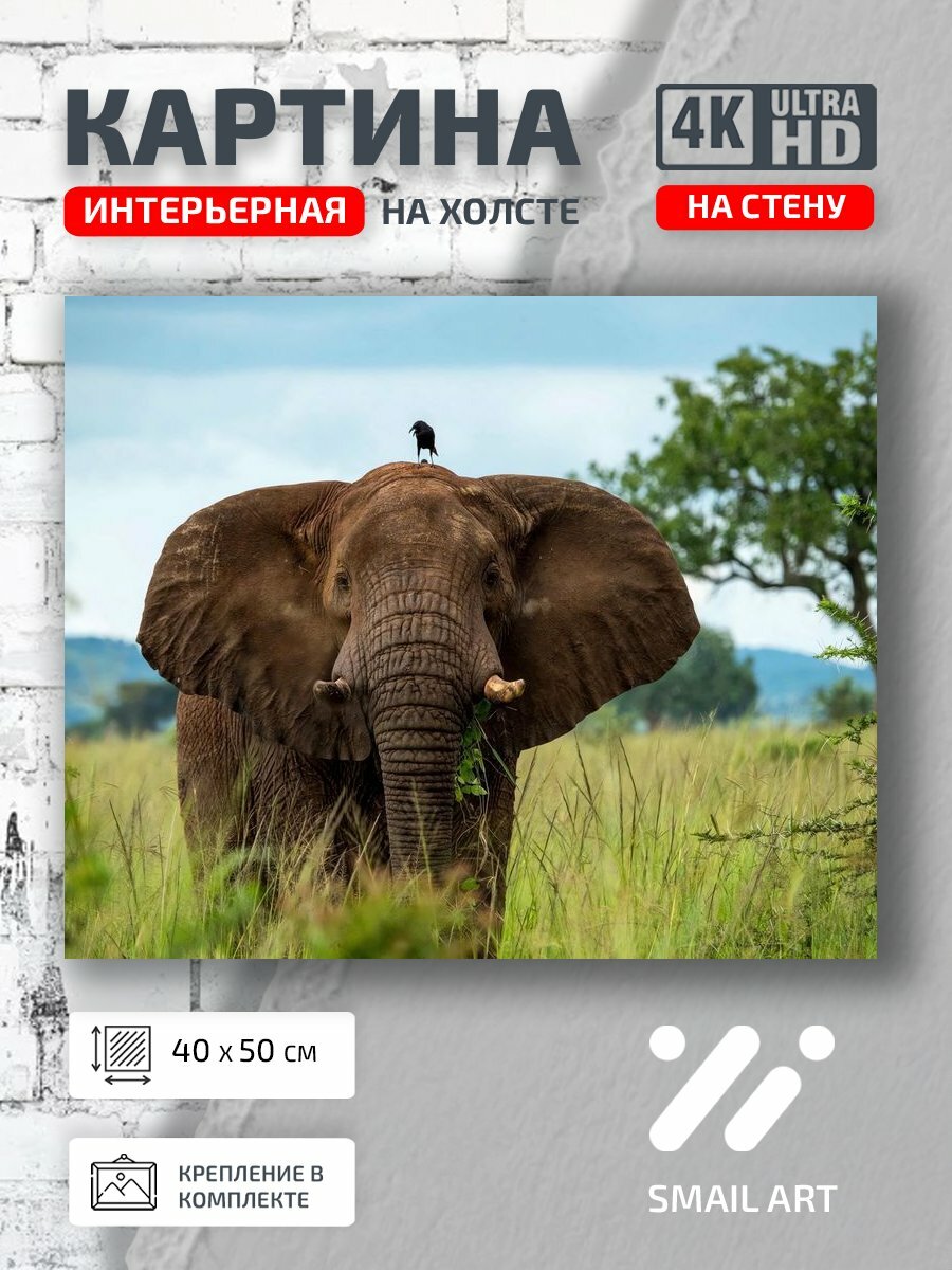 Картина на холсте интерьерная 40 на 50 на стену Африка Landscape для кафе пейзаж интерьер